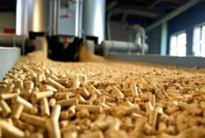 Smaltimento Legno: come il riciclo legno aiuta l'ambiente